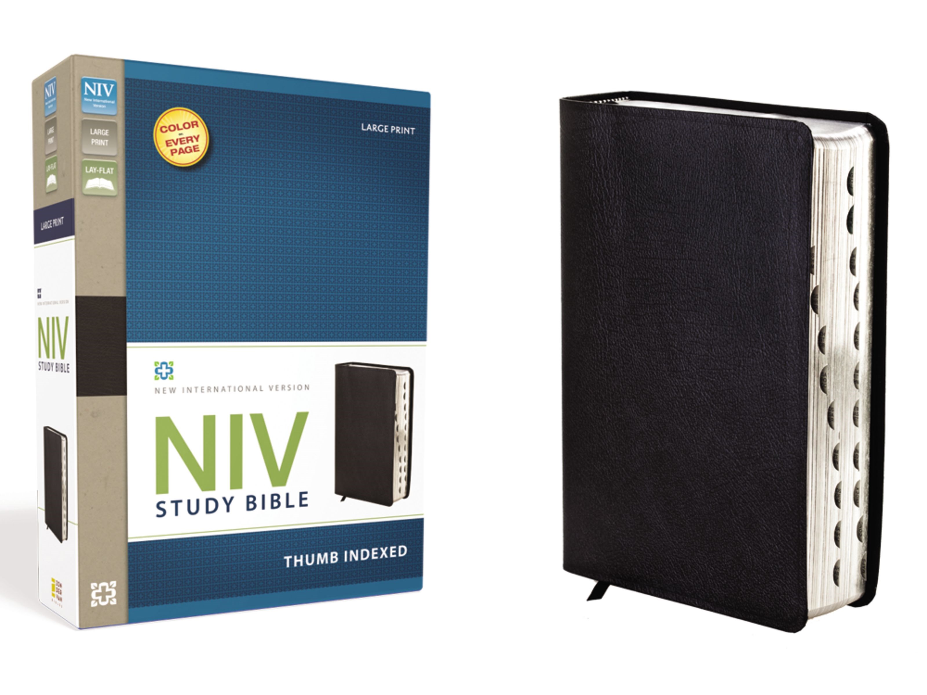 Niv Study Bible Large Print Black Bonded Leather Indexed 9780310437581 Niv Study Bible Large Print Black Bonded Leather Indexed 9780310437581